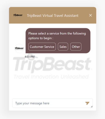 Best Travel Booking Platform for Easy and Affordable Trips | TripBeast